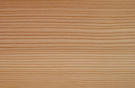 Templin-Furnier-Shop - Furniere