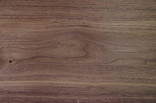 Templin-Furnier-Shop - Nussbaum amerikanisch