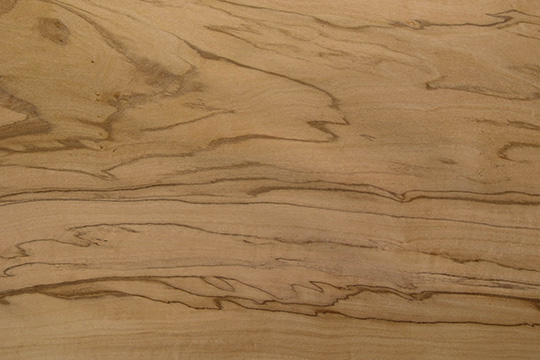 Templin-Furnier-Shop - Furniere