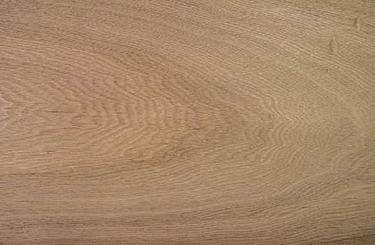 Templin-Furnier-Shop - Furniere