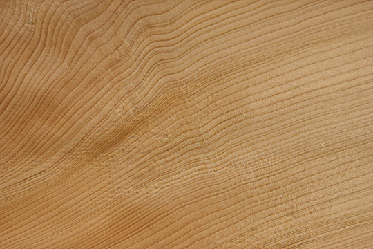 Templin-Furnier-Shop - Furniere