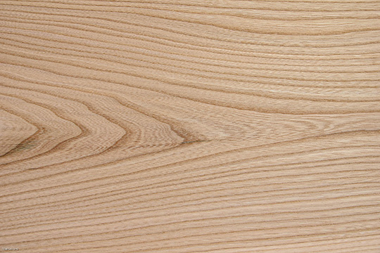 Templin-Furnier-Shop - Rüster