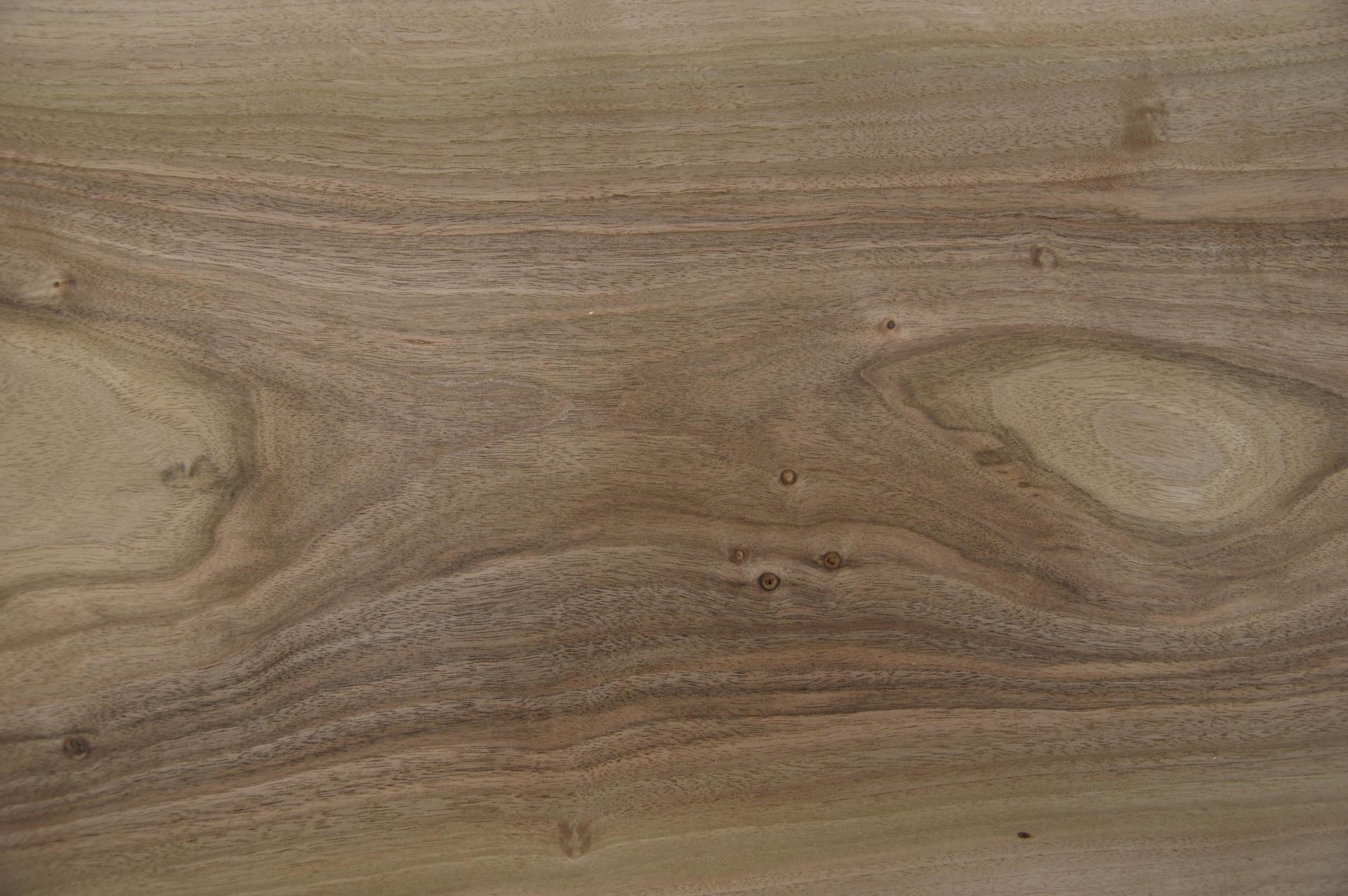 Templin-Furnier-Shop - European Walnut, - veneer (0,9mm) - 10,81m² ...