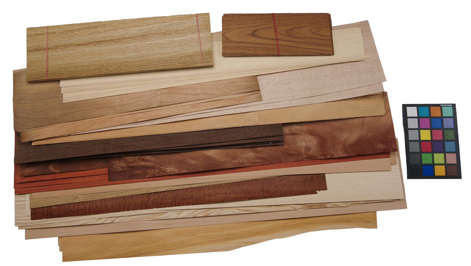 Templin-Furnier-Shop - Veneer single sheets and cut-offs set
