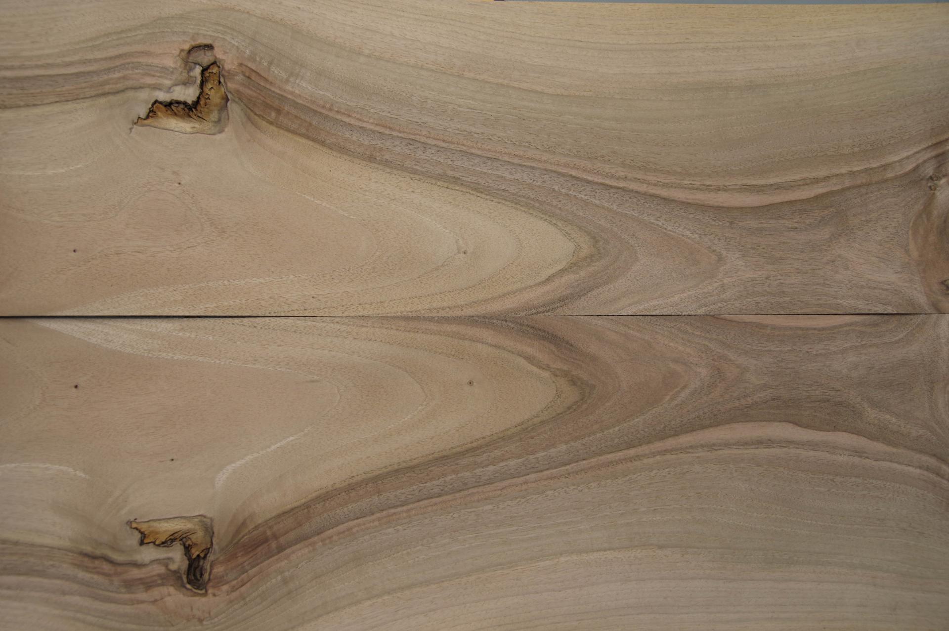 Templin-Furnier-Shop - European Walnut, - veneer (0,9mm) - 3,52m² ...