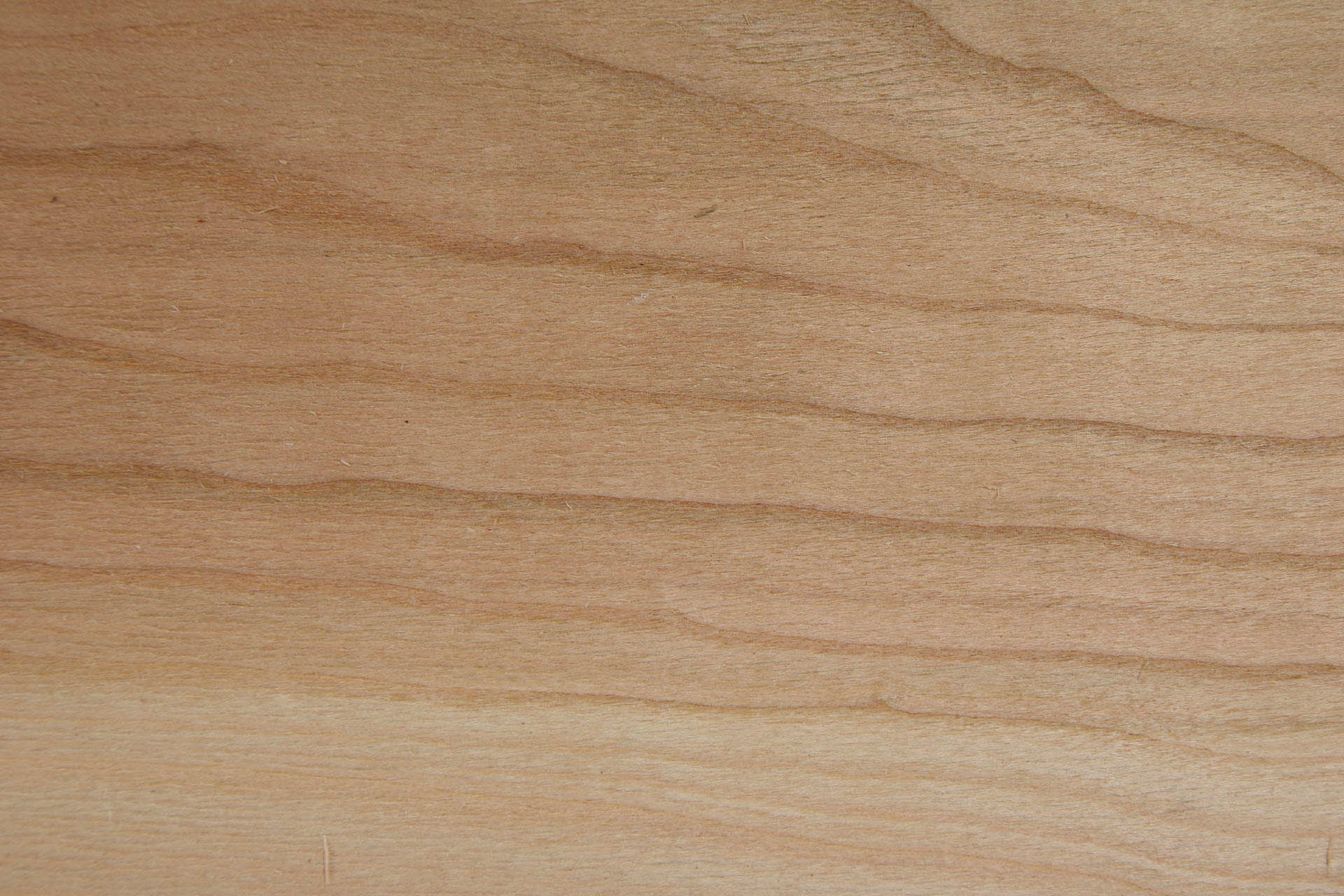 Templin-Furnier-Shop - Hochwertiges Kirschbaum, europäischer Furnier ...