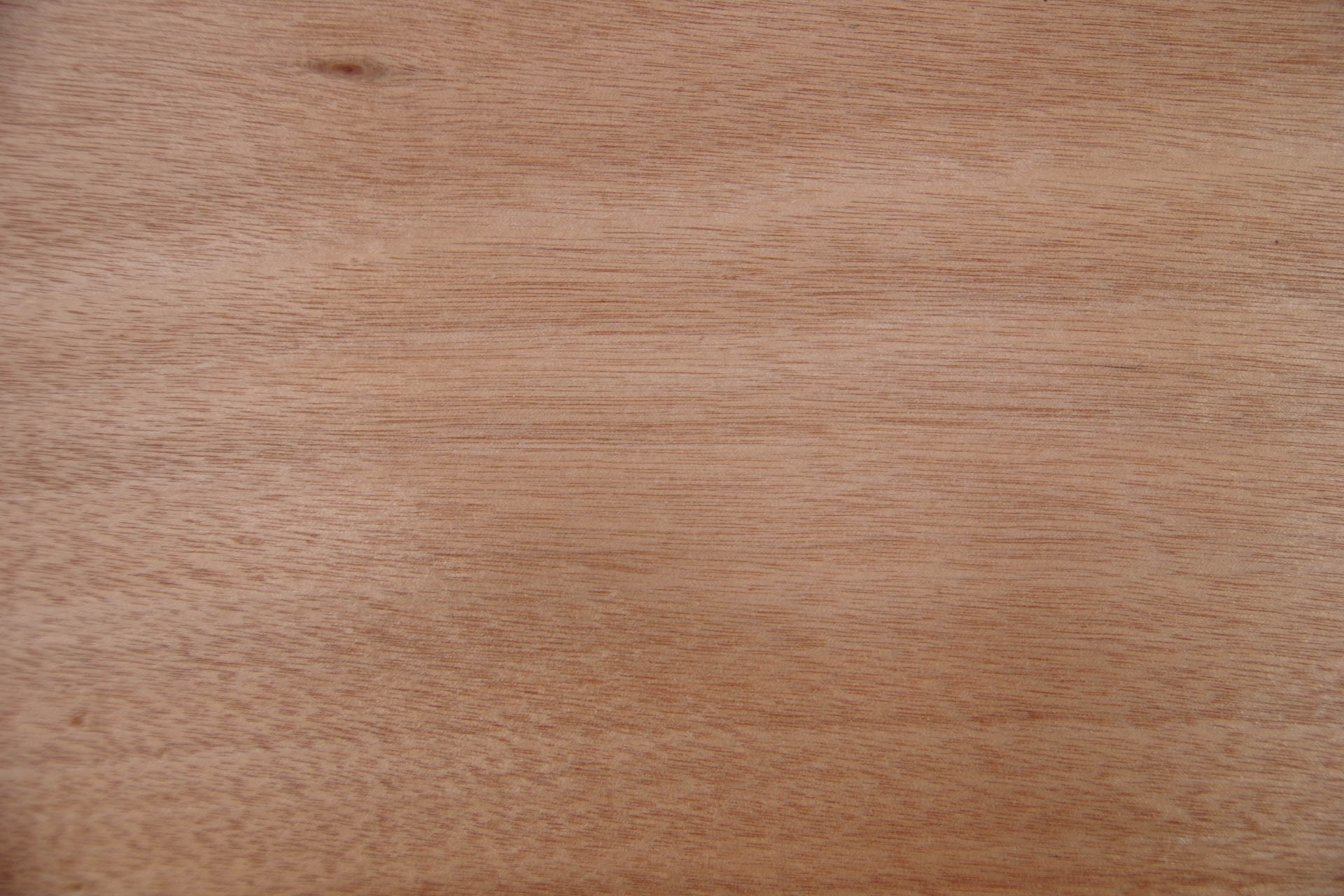 Templin-Furnier-Shop - Gabun-Mahagoni, Okoumé -Furnier (0,6mm) - 6,2m² ...