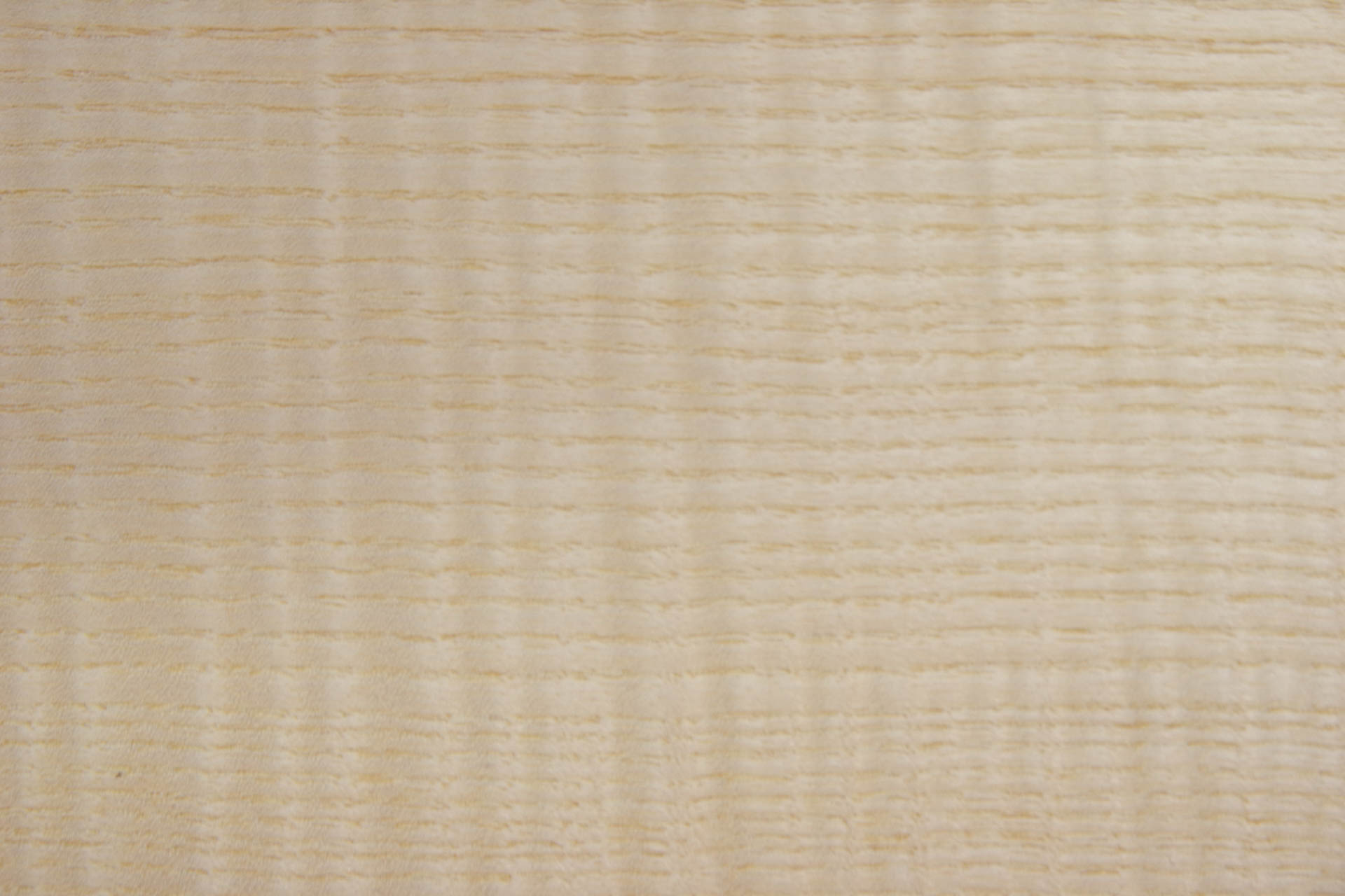 Templin-Furnier-Shop - Hochwertiges Esche,europäische, Riegel Furnier ...