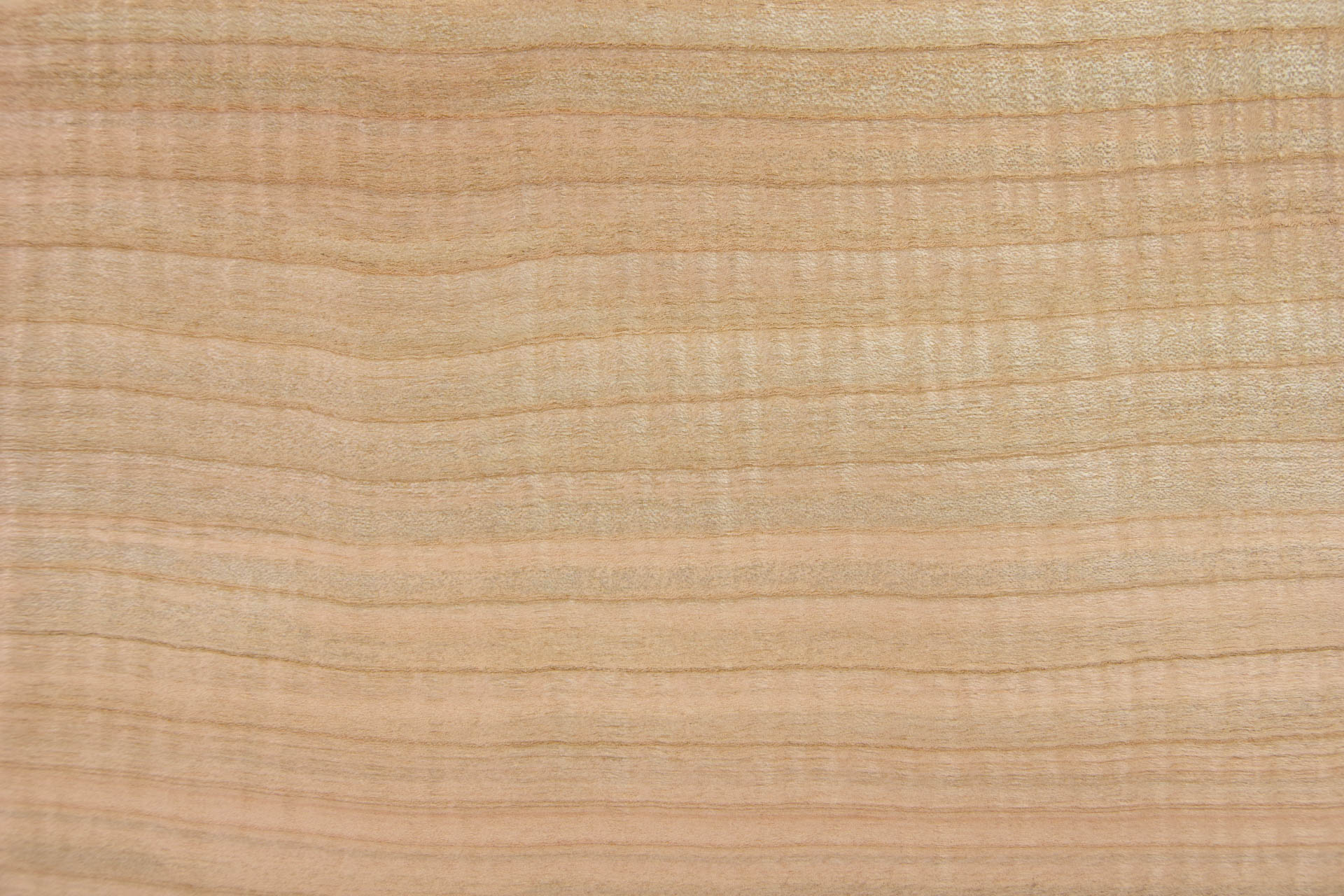 Templin-Furnier-Shop - Hochwertiges Kirschbaum, europäischer Furnier ...