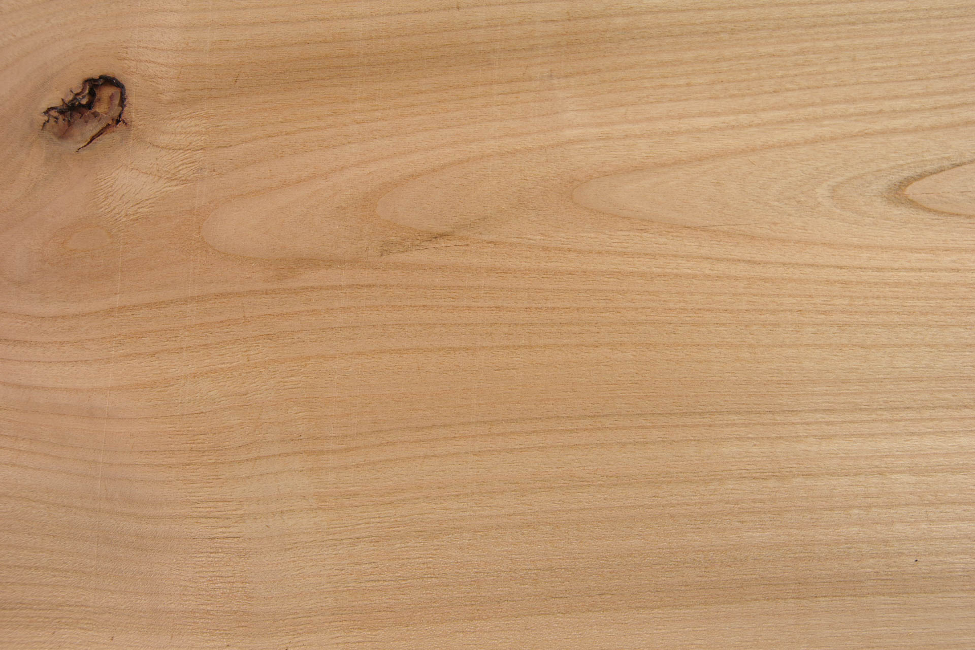 Templin-Furnier-Shop - Hochwertiges Kirschbaum, europäischer Furnier ...