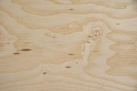 Templin-Furnier-Shop - Esche